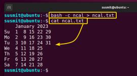 The Bash Command In Linux Practical Examples