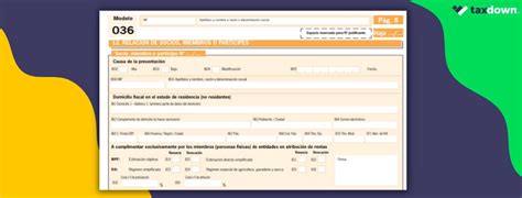 Modelo 036 de Hacienda: Qué es y Cómo Rellenarlo | TaxDown