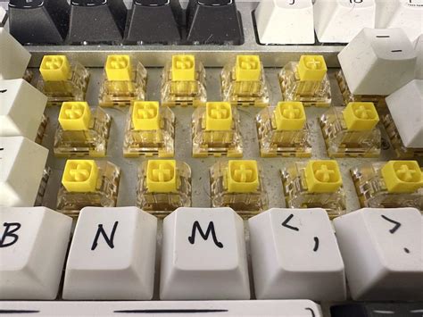 Did You Know Every Seven Years Every Cell In A Programmers Body