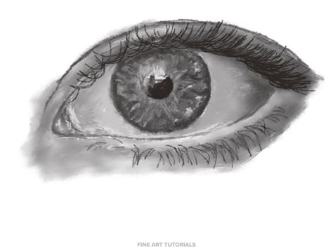 Eye Drawing Step By Step Tutorial