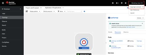 Command Line Interface Cli Openshift Introduction On Ibm Z And Linuxone