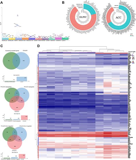 Analysis Of Differentially Expressed Genes Degs And Their Clustering Download Scientific
