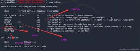 metasploit实战之 ssh暴力破解过程 metaspoit查找sshlogin csdn博客