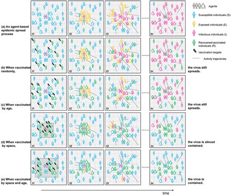 Schematic Diagram Of Agent‐based Simulation A Simplified Agent‐based Download Scientific