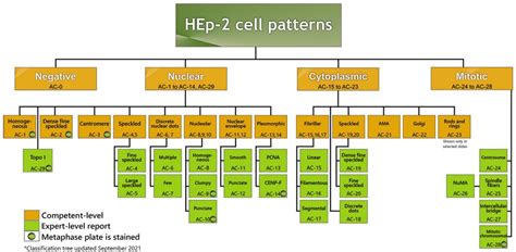 Phân Loại Kháng Thể Kháng Nhân Ana Ana Pattern Theo Icap Benhtumien