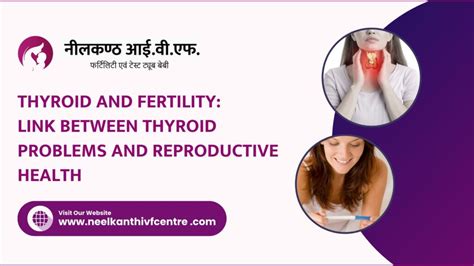 Thyroid And Fertility Link Between Thyroid Problems And Reproductive Health
