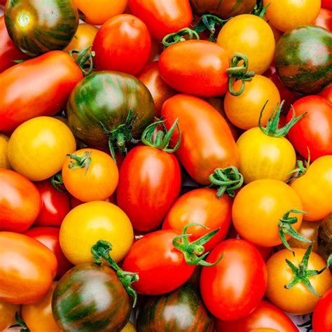 How To Use Cherry Tomatoes Home Garden Trends