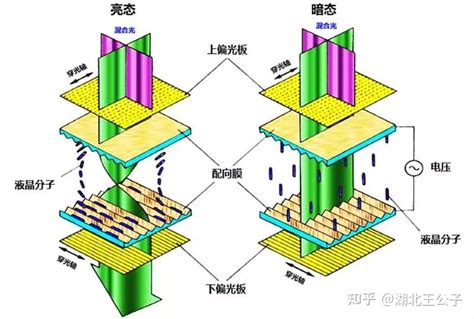 Lcd屏幕和oled屏幕发出的是线偏振光还是圆偏振光？ 知乎