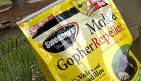 5 Best Gopher Repellents In 2024 [detailed Reviews]