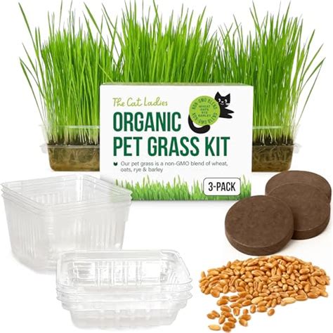 The Cat Ladies Cat Grass For Indoor Cats Growing Kit Want It All