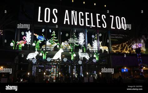 Los Angeles California Usa 23rd December 2024 Zoo Lights At La Zoo On