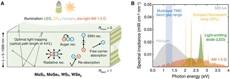 Transition Metal Dichalcogenide Solar Cells For Indoor Energy