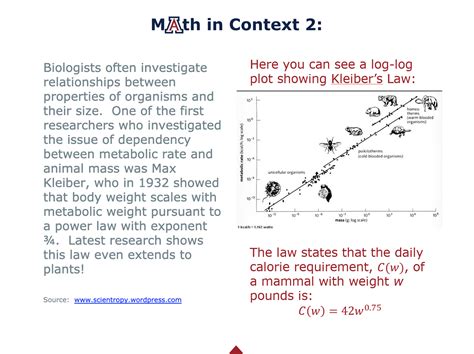 Solved Math In Context 2 Here You Can See A Log Log Plot