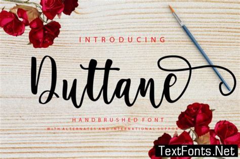 duttane script font