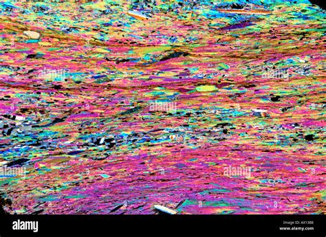 Rock Mica Schist With Garnets Thin Section Showing Minerals Through Cross Polarized Light Stock