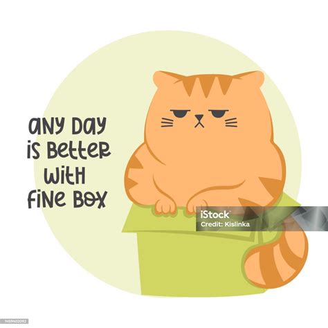 종이 상자에 귀여운 재미 심술 궂은 생강 고양이 고양이는 골판지 상자에 앉아 자고 놀고 있습니다 상자와 함께 다른 포즈를 취한