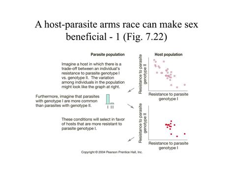 Ppt 7 The Adaptive Significance Of Of Sex Powerpoint Presentation