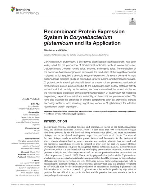 Pdf Recombinant Protein Expression System In Corynebacterium Glutamicum And Its Application