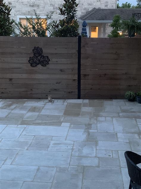 Best Sex Kitten Images On Pholder Hentai Petgirls E Girls And Black Porn Legends