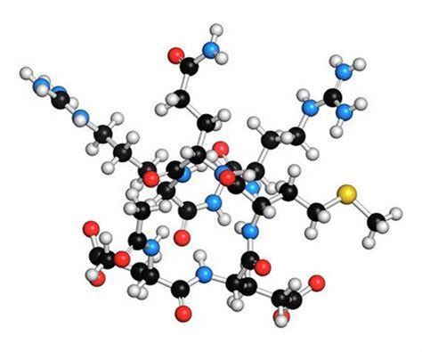 Hexa Peptide In Skincare