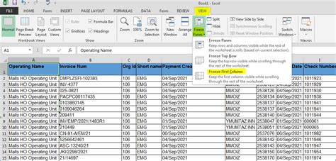 How To Freeze Rows In Excel Freeze Panes Function In Excel