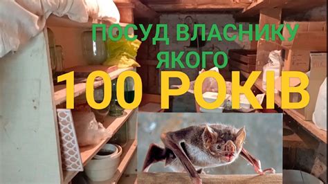 ПІДВАЛ З ПОСУДОМ 100 ЛІТНЬОЇ ВЛАСНИЦІ Ukraineporcelain УКРАЇНСЬКИЙ ПОРЦЕЛЯНОВИЙ ПОСУД Youtube