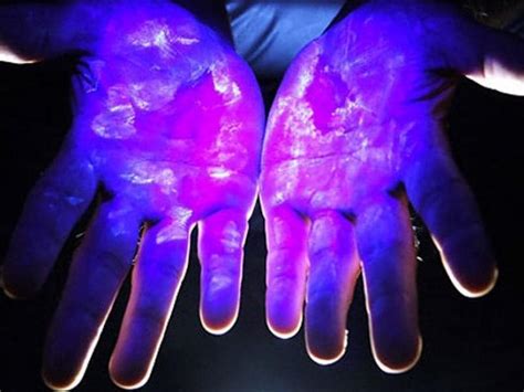 Research Finds Germs Not True Love Make Humans Mate For Life Hindustan Times