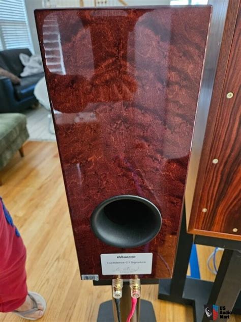 Dynaudio C1 Signature Photo 5329027 Us Audio Mart