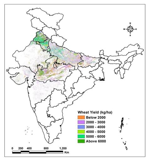 Wheat Crop Area And Production Estimation In India A Pilot On
