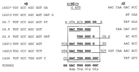 Nucleic Acid Sequence Of The Tcr V Cdr3 Region Of The Cd1 Reactive T Download Scientific