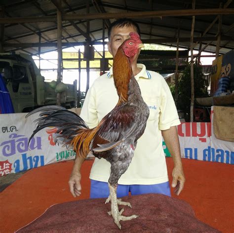 ๑๒ สิงหาคม พุทธศักราช ๒๕๖๘ สมศักดิ์ เทพสุทิน Facebook