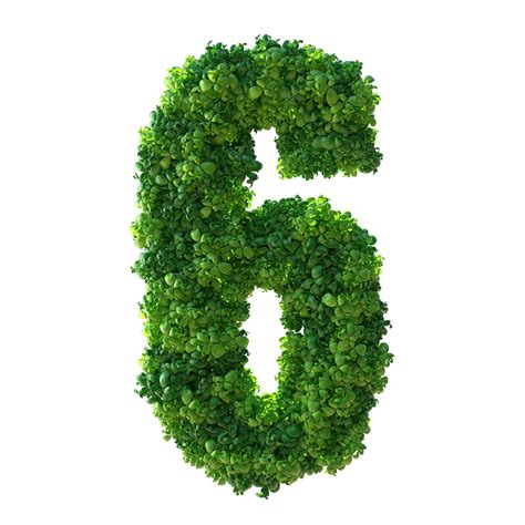 Número 6 Alfabeto Planta Verde Aislado Ruta De Recorte 3d