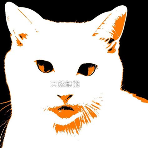 Bash Bash Bash Youtube Music