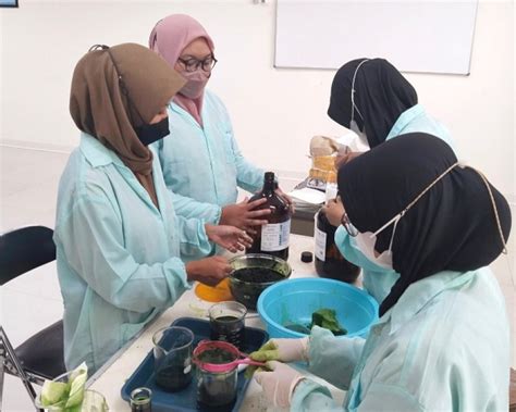 Ekstrak Daun Songgolangit Jadi Obat Sesak Akibat Paparan Asap Rokok