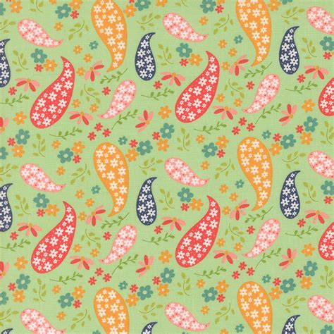 Raspberry Summer Paisley Mint M3769115 By Sherri And Chelsi For Moda Fab