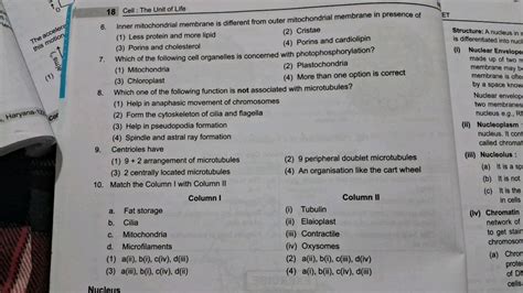 Inner Mitochondrial Membrane Is Different From Outer Mitochondrial Membra