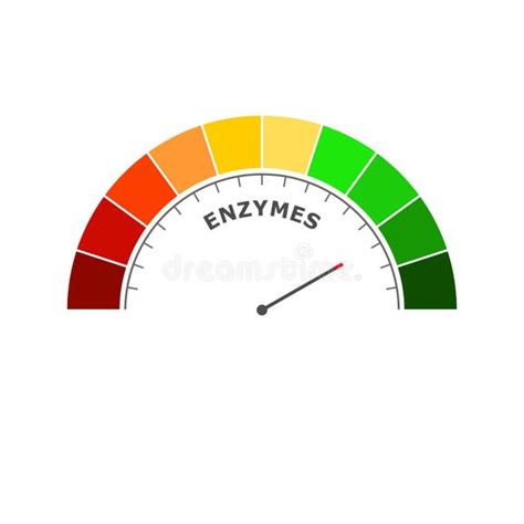Enzymes Level On Measure Scale Instrument Scale With Arrow Colorful Infographic Gauge Element