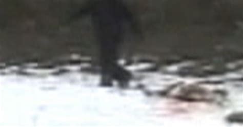 Russian Yeti Mystery Solved