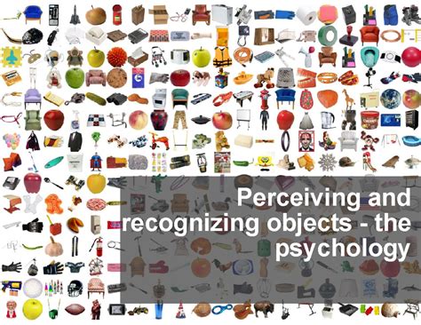 Object Perception Class Pdfs And Additional Notes As Comments