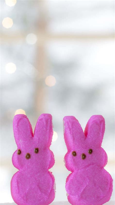 100 Pink Bunny Wallpapers