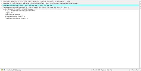 Basic Bgp Information Networking Lab