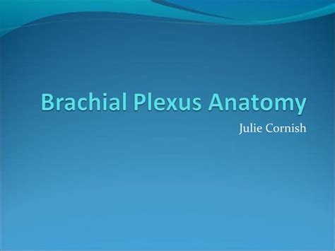 Brachial Plexus Ppt By Dr Mittal Lohar Ppt
