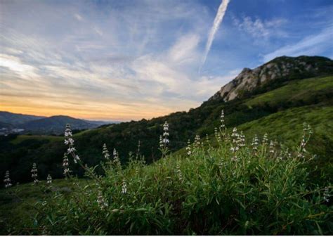 Take The Train To Slo This Summer San Luis Obispo Vacations