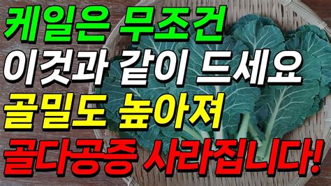 케일은 무조건 이것과 같이 드세요 골밀도 높아져 골다공증 사라집니다 Youtube