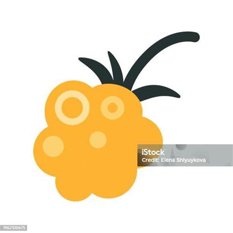 Cloudberry 만화 스타일 트렌디 한 현대 벡터 일러스트 레이 션은 흰색 배경에 고립 손으로 그린 평면 디자인 Cloudberry에 대한 스톡 벡터 아트 및 기타