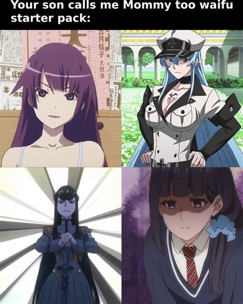 Your Son Calls Me Mommy Too Waifu Starter Pack Ifunny