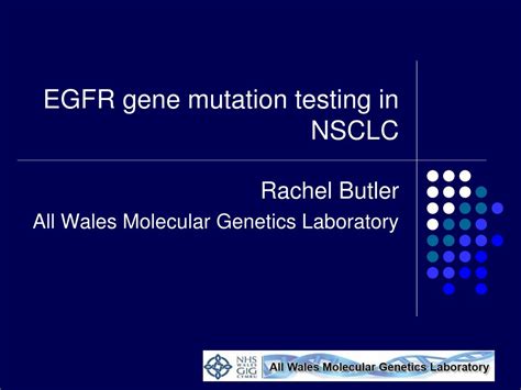 Problems And Limitations Associated With Mutation Testing Inside Ai