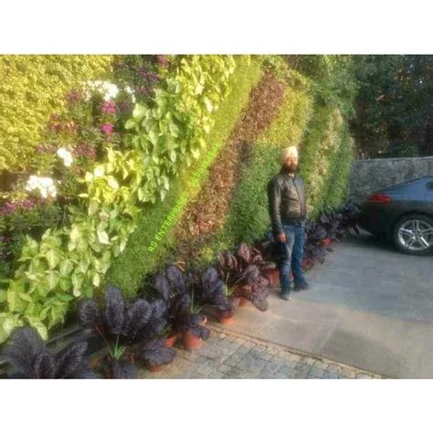 Green Wall Panel Feature Eco Friendly At Best Price In New Delhi