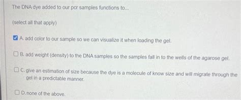 Solved The Dna Dye Added To Our Pcr Samples Functions To