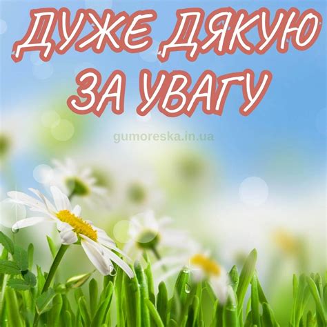 Дякую за увагу картинки і листівки скачати ТОП 25